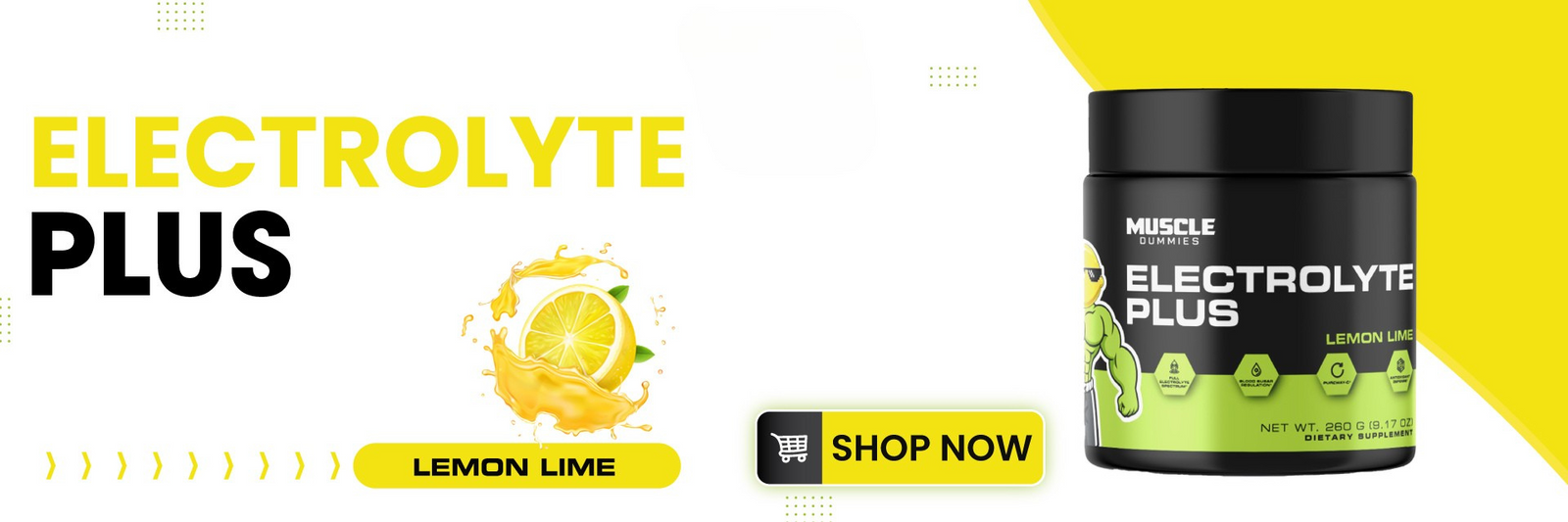 Muscle Dummies: Premier Supplements