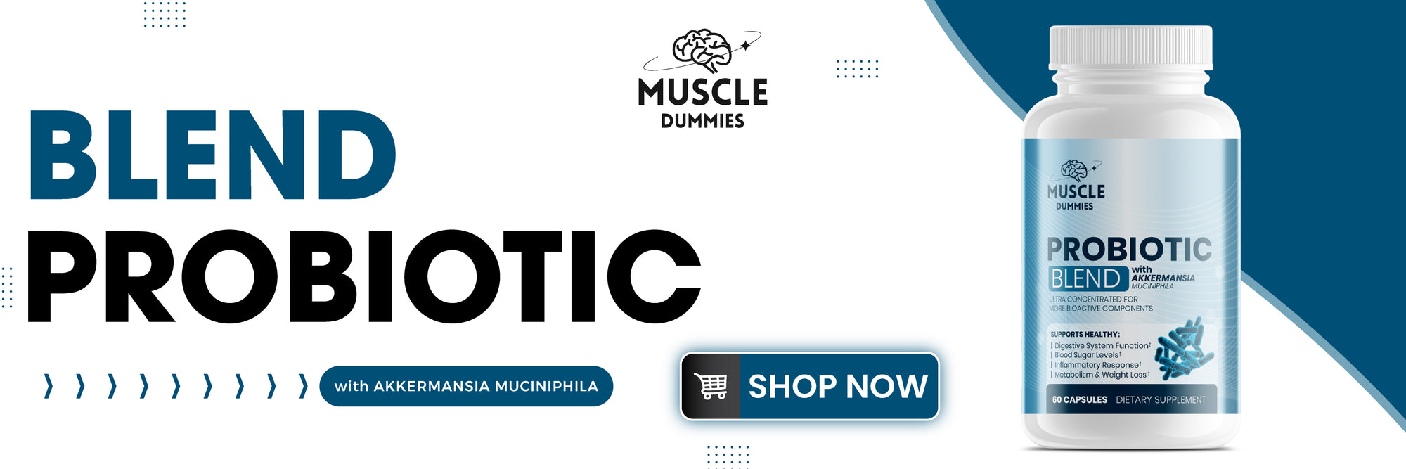 Muscle Dummies: Premier Supplements